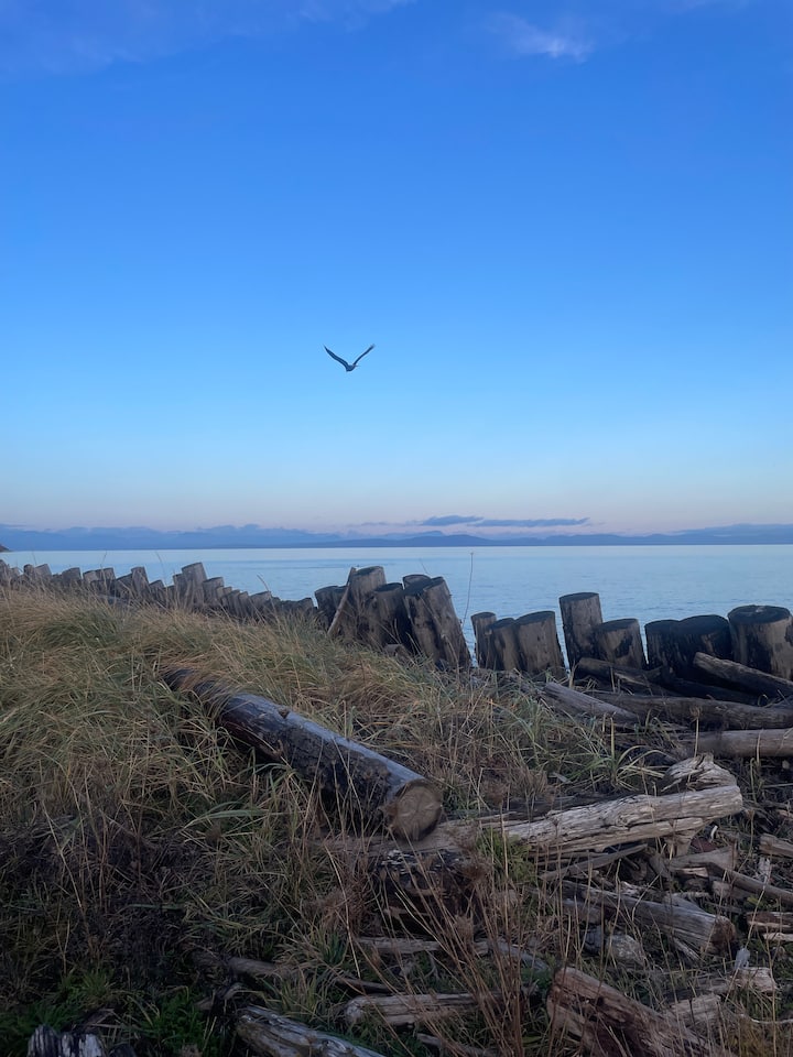 No 9: Bates Beach Oceanfront Condo - Comox
