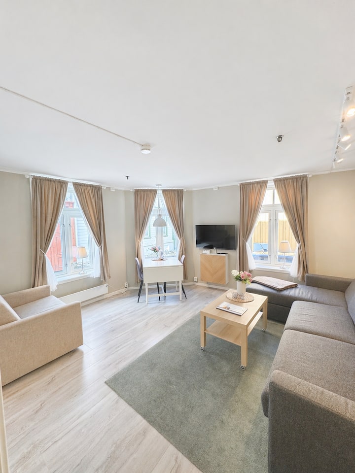 Stor Studioleilighet. Med God Beliggenhet - Trondheim