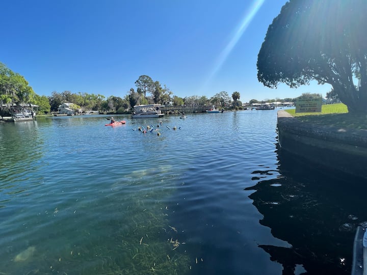 Great Hunter Springs Views! - Crystal River, FL