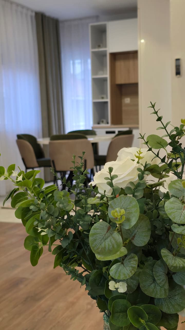 Apartmani Rodjeni - Mostar