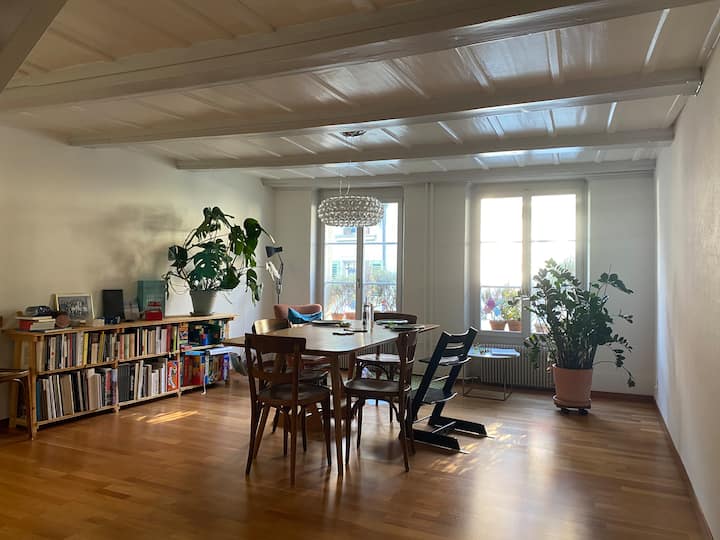 Beautiful House Super Central - Bern