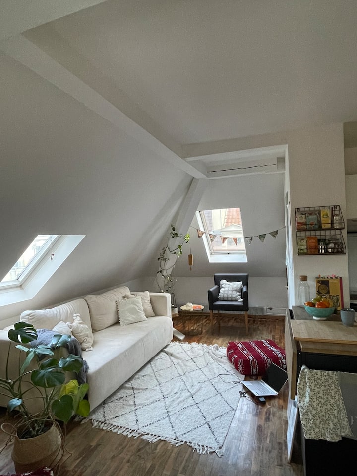 Gemütliche Wohnung Nahe Beim See - Zúrich