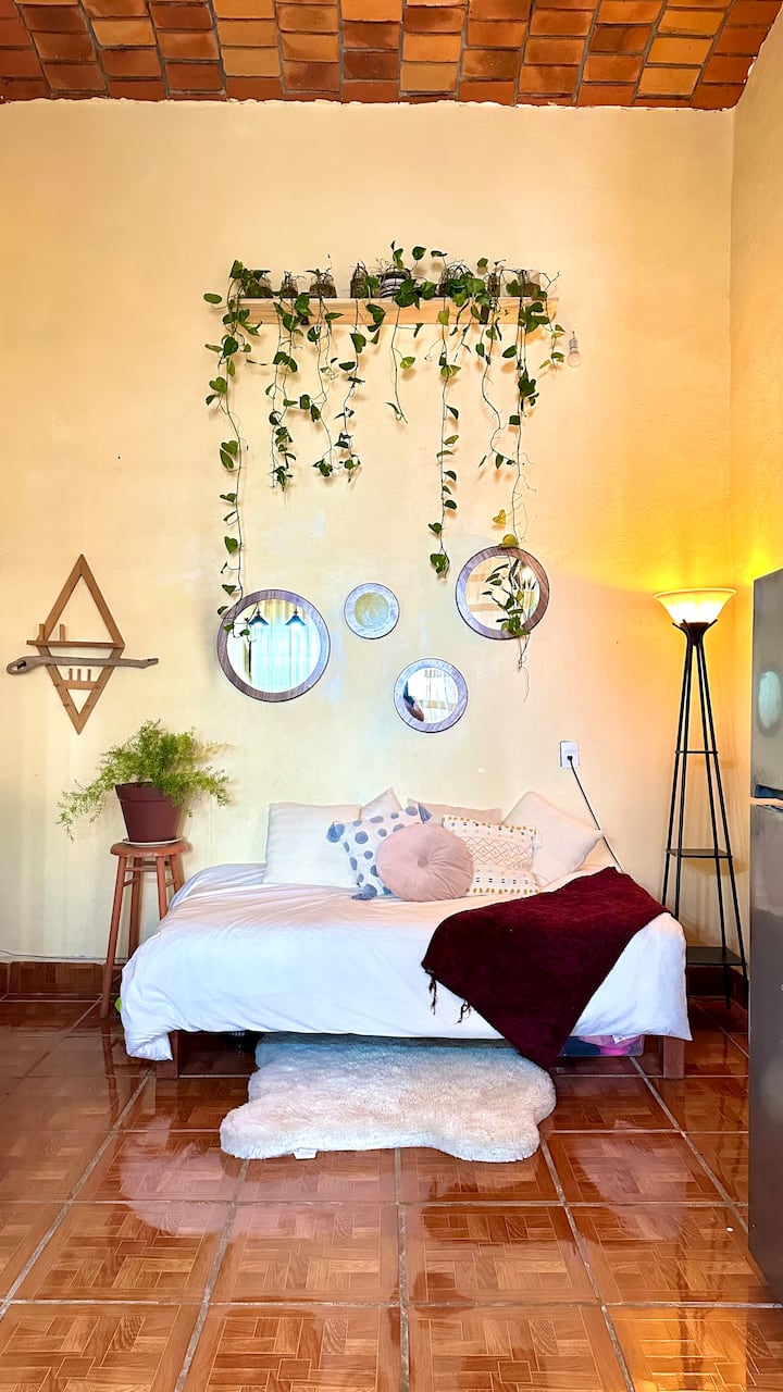 Sintra, Little Green Corner - Sayulita