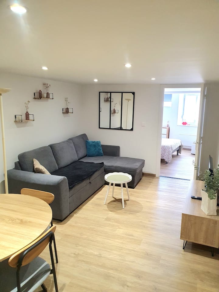 Charmant Appartement T2 En Rdc - Lac d'Orient