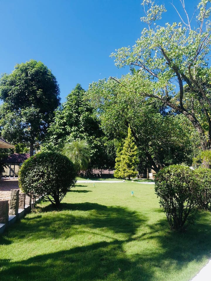 Greenview Mini Resort - Changanassery