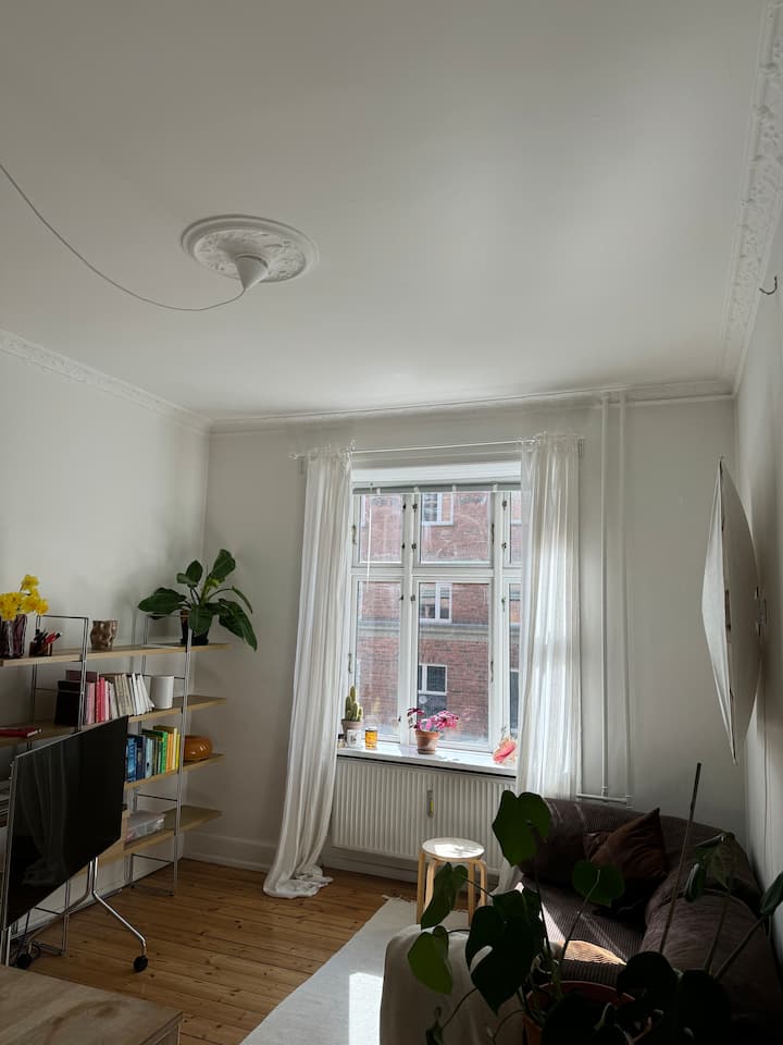 Authentic Copenhagen Apartment - Copenhague