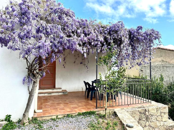 Maison - Ajaccio