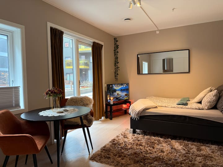 Koselig Sentral Leilighet - Kristiansand