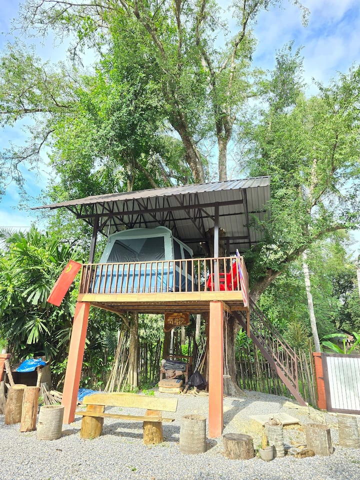 Mai Dusun Retreat - Unique Treehouse Tent - Kuala Nerang