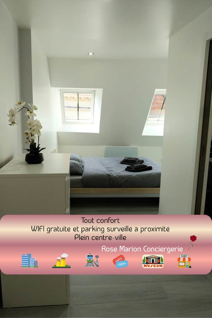 Duplex Chic Et Pratique - Nogent-sur-Seine