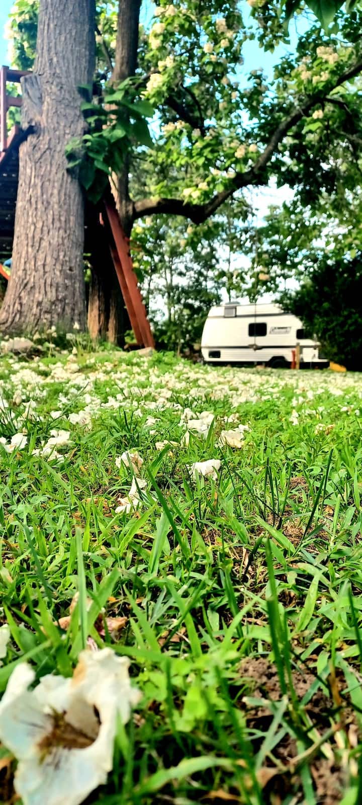 Rv: Hottub/firepit/20m Pvd/25m Gillette Xfinity - Rhode Island