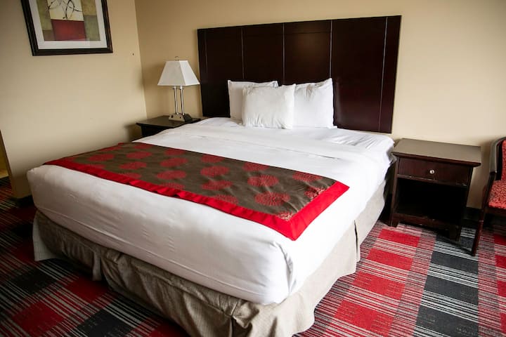 Albany Cozy 1br Next To Downtown With Breakfast - Albany, NY