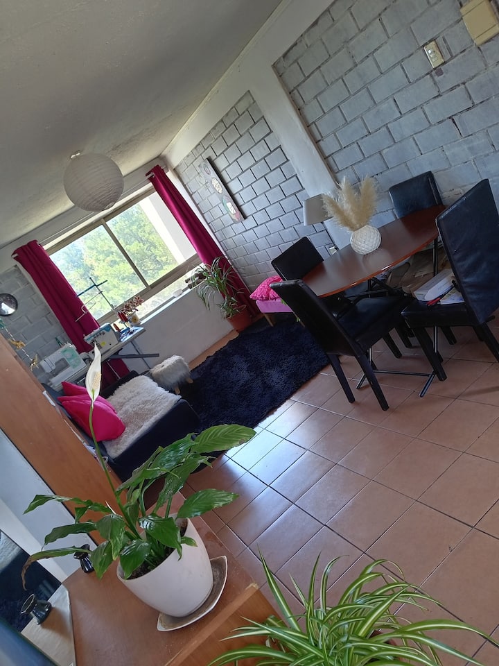 Departamento - Constitución