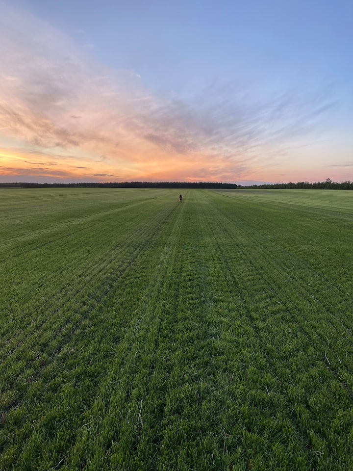 Farmhouse Vacation - Ribe