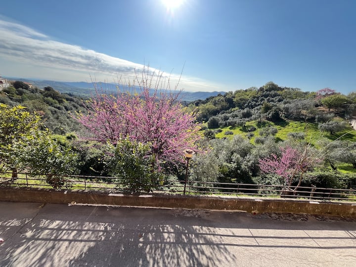 Caldana “La Perla Della Maremma” - Gavorrano