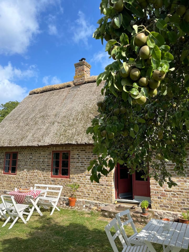 1800-tals Hus På Ven Nära Strand - 8 Bäddar - Landskrona