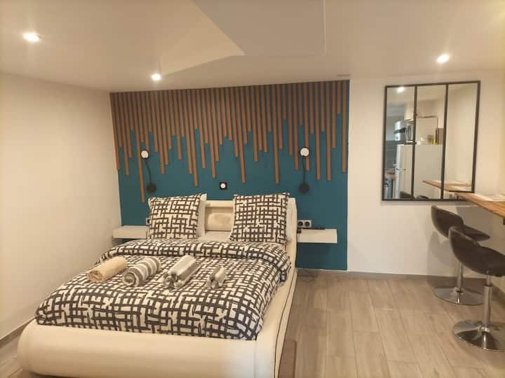 Business Studio A 10 Minutes De Paris Et Orly - Antony