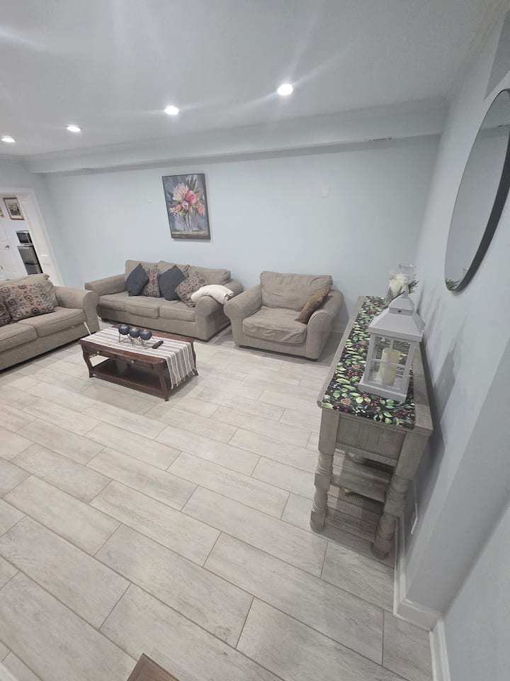 Nice Basement - Suwanee, GA