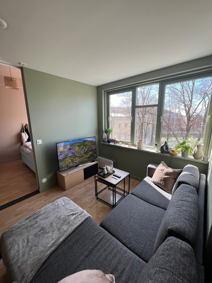Koselig Leilighet I Gamle Oslo - Oslo
