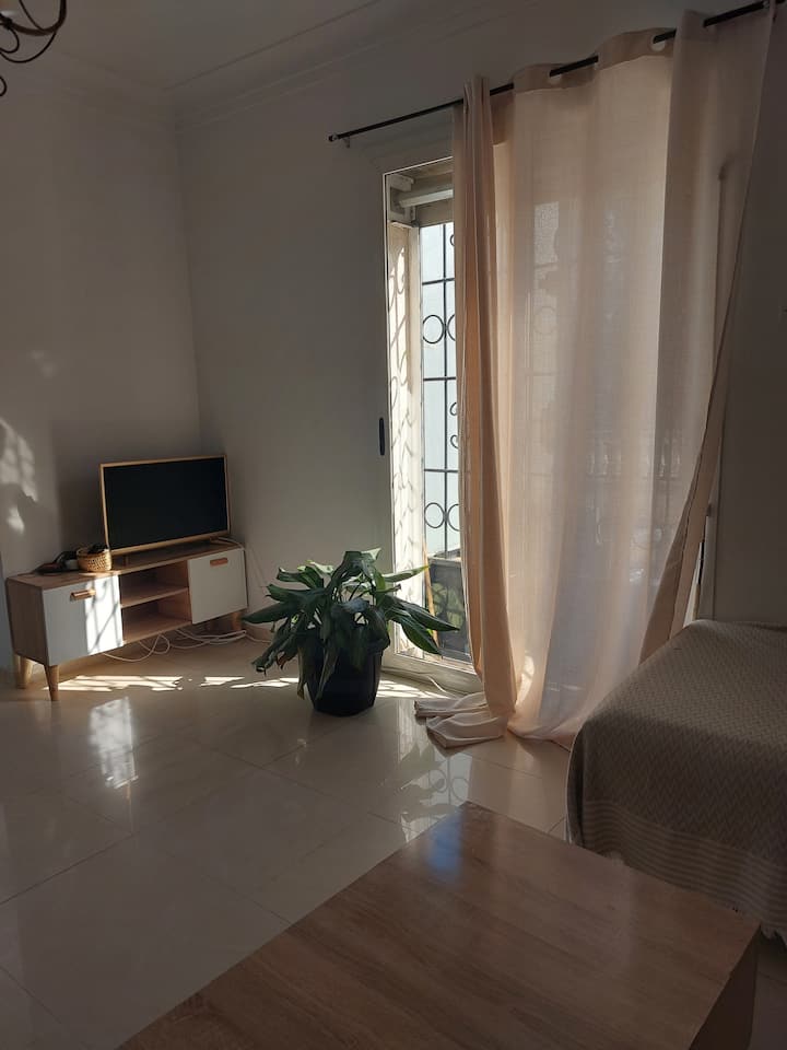 T2 Luxe Spacieux Lumineux Accepte Les Animaux - Algiers