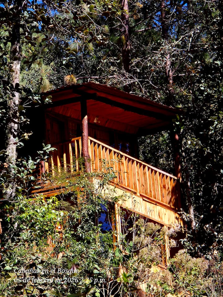 "Tú Esencia En La Naturaleza" Cabaña 5 - Oaxaca