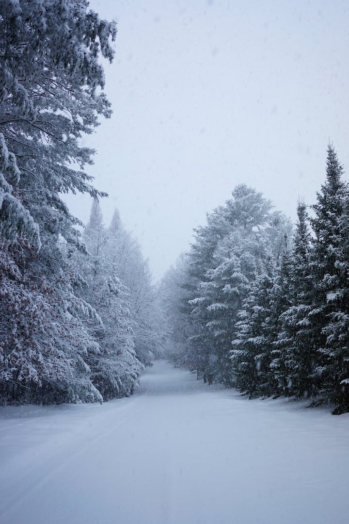 Lake & Art: Winter Magic Family Getaway - Minocqua, WI