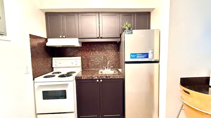 Downtown Mcgill Equipemented Apt - Montréal, QC