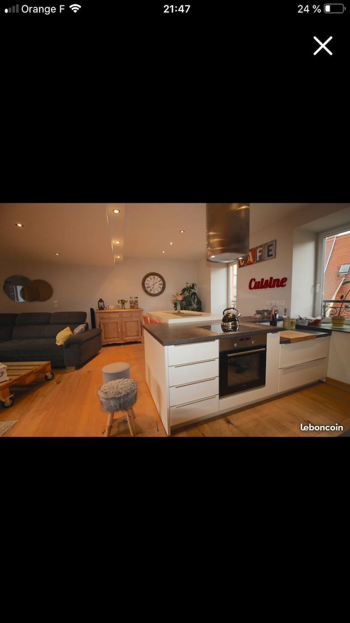 Appartement Triplex Idéalement Situé - Sélestat