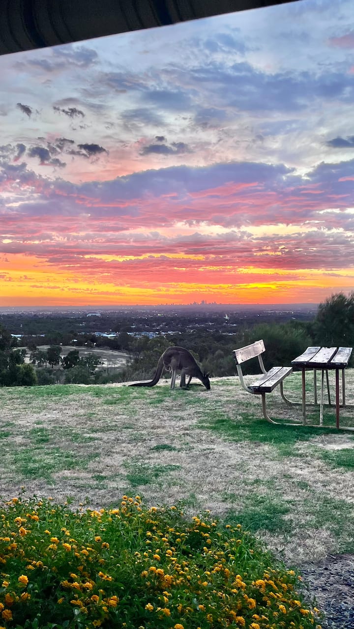 The Hideout - ムンダリング