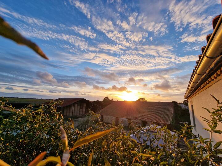 Le Nid D'édène - Saint-Vincent-sur-Jard
