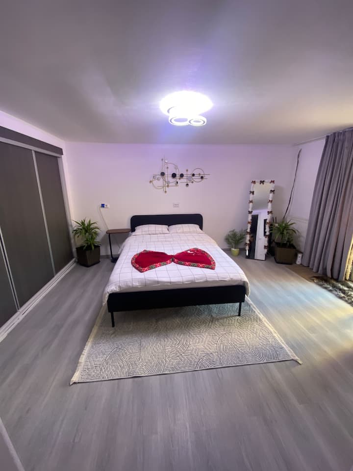 Garsonieră București La 9 Km Aeroport Otopeni - Otopeni