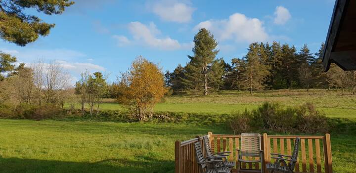 Chalet Chaleureux - Saint-Sauveur-Camprieu