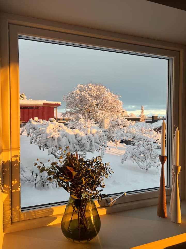 Nyoppusset 3-roms. Nær Marka Og Sentrum - Molde