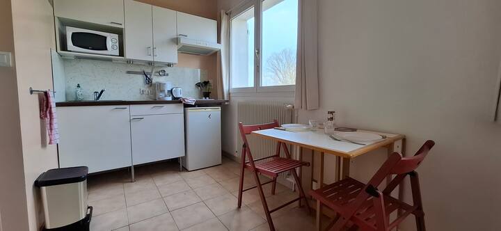 Beaulieu Sur Loire Studio Jaune - Belleville-sur-Loire