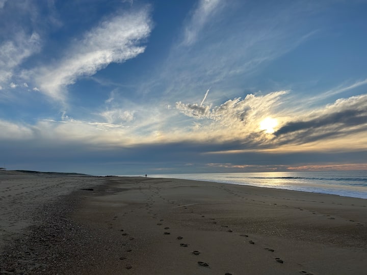 Maison à Messanges (Landes) Entre Forêt Et Océan - Messanges