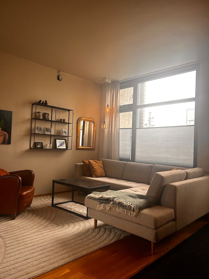 Stor Leilighet Sentralt I Stavanger - スタバンゲル