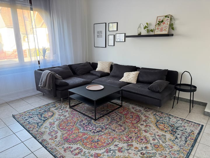 Helles Apt: Wiesb. | Mainz | Ffm - Mainz