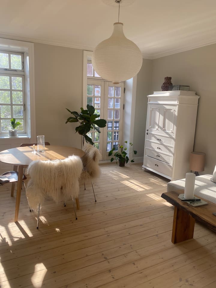 Lys Og Hyggelig Lejlighed - Copenhaguen