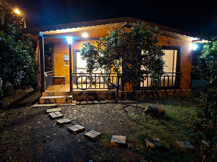 Charming Wooden House In Nature - Çıralı