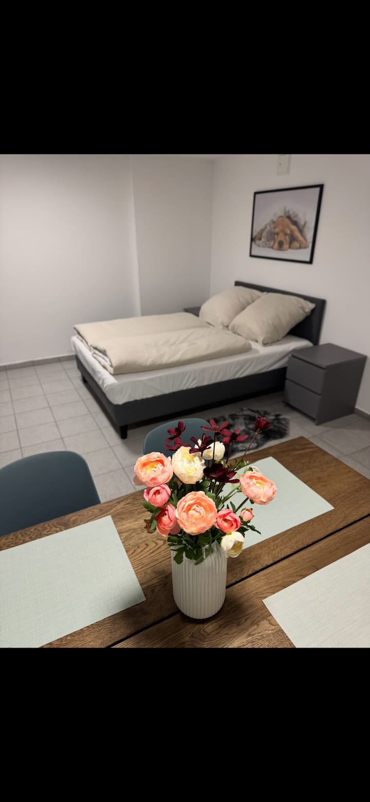 Gemütliche Wohnung, 2 Betten - Sankt Goarshausen