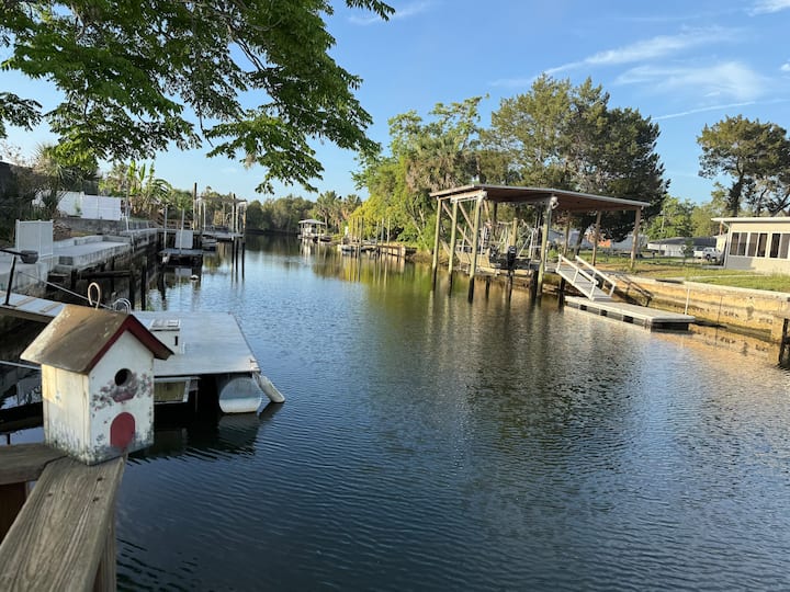 The Lionfish Lodge - Crystal River, FL