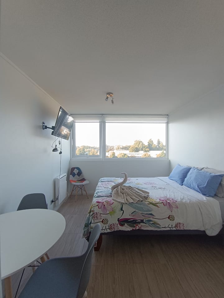 Isla Teja Downtown Apartment - Valdivia