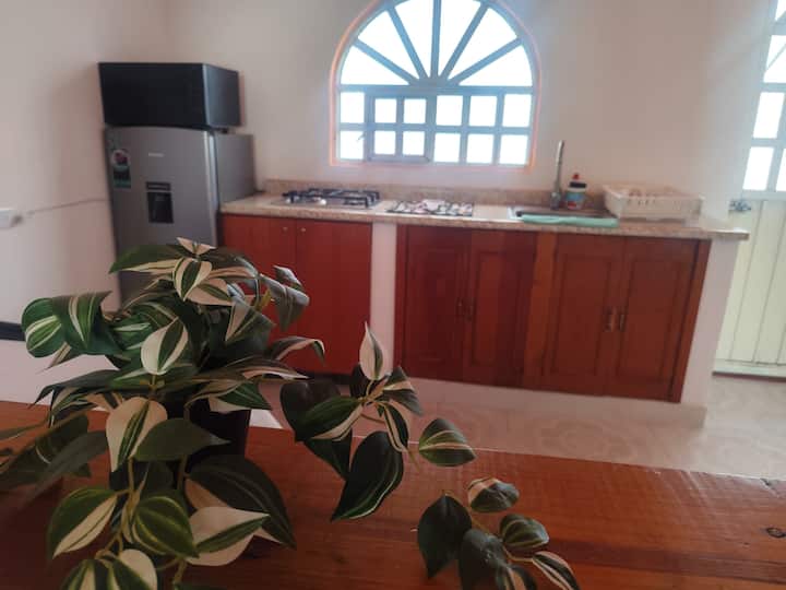 Departamento Familiar Y Cómodo. Texcoco Chapingo - Chiconcuac