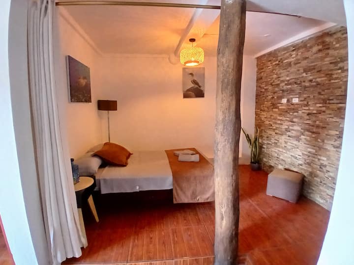 Galápagos Volcanicccc - Puerto Ayora