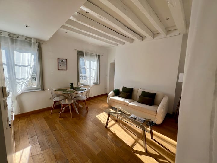 Appartement Lumineux Avec Parking En Centre Ville - Amboise
