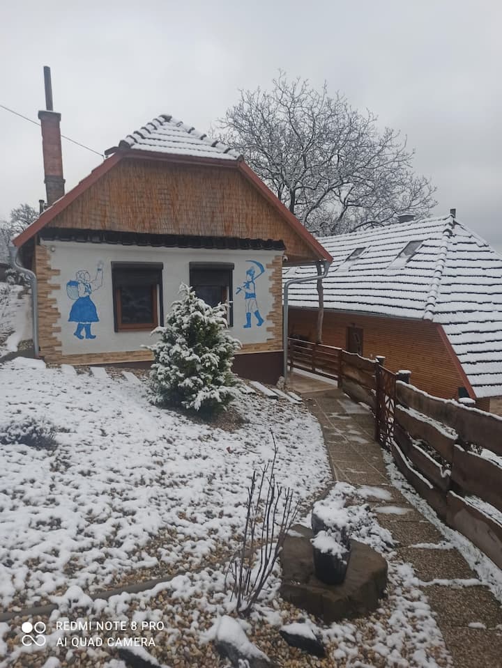 Krásna Chata Na Polo Samote - Senica