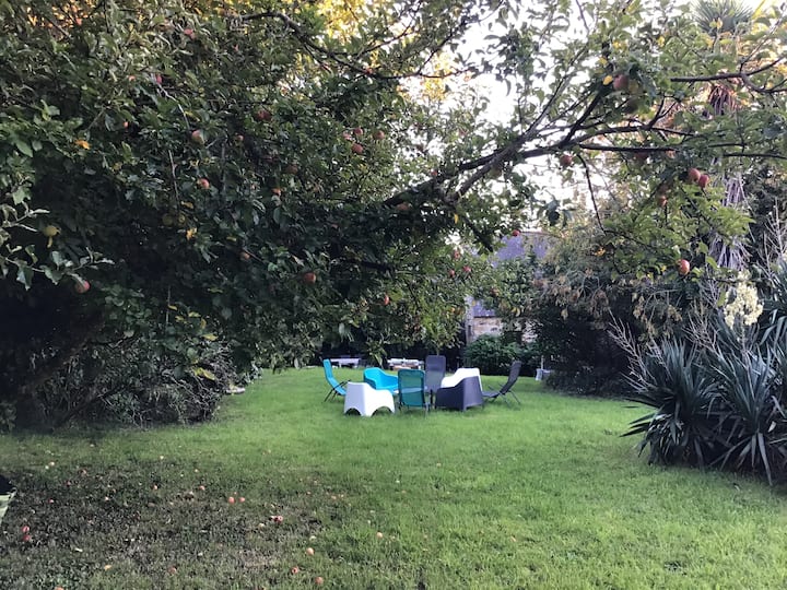 Aux Pierres De Morgat : Belle Maison Avec Jardin ! - Crozon