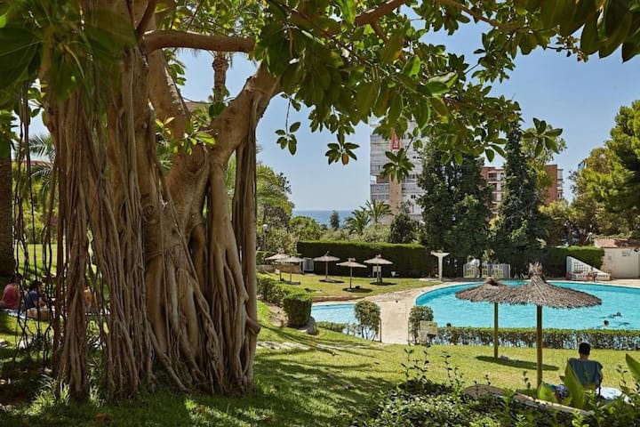 Oasis Junto Al Mar De Alicante - El Campello