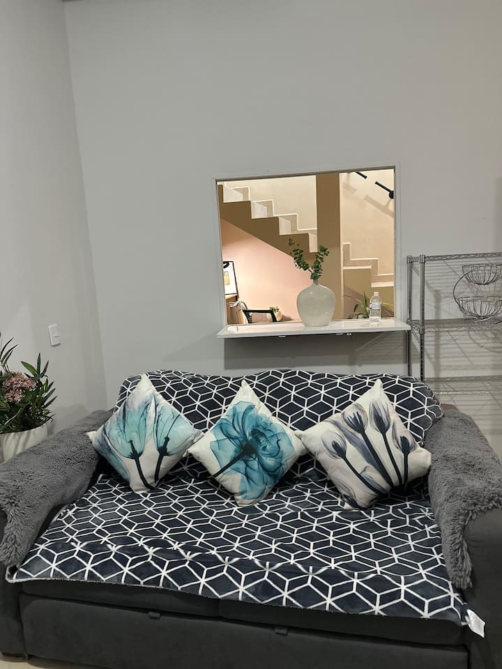 Departamento En El Centro - Aguascalientes