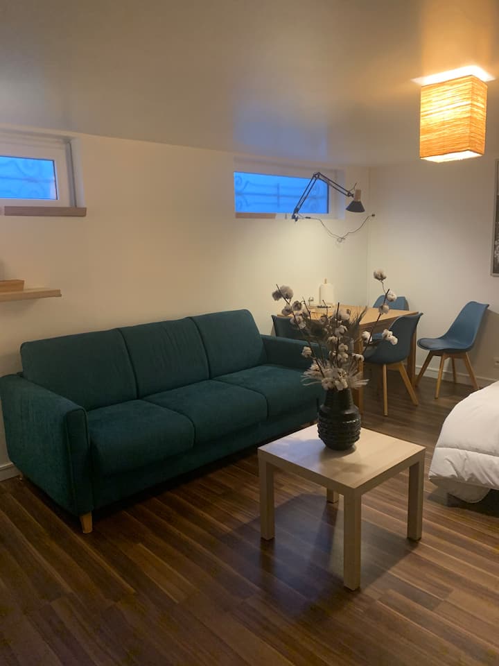 Studio ÉMeraude à Bruz Rennes 1h Saint Malo Dinard - Bruz